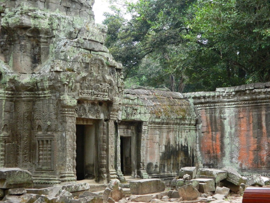 Ta Prohm – Patricia Heatherington.com